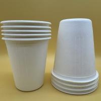 China 12oz Disposable Biodegradable Paper Plup Cup And Lids For Takeaway Coffee Milk Drinks for sale