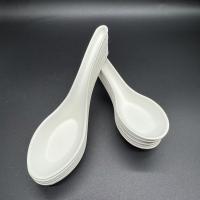 China Eco-Friendly Compostable Pulp Cutlery Disposable Sugarcane Cutlery Biodegradable Bagasse Spoon for sale
