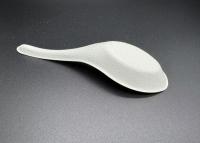 China Eco-Friendly Compostable Pulp Cutlery Disposable Sugarcane Cutlery Biodegradable Bagasse Spoon for sale