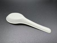 China Molded Fiber Bagasse Pulp Spoon Eco-Friendly Disposable Utensil Canteen for sale