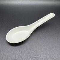 China Molded Fiber Bagasse Pulp Spoon Eco-Friendly Disposable Utensil Canteen for sale