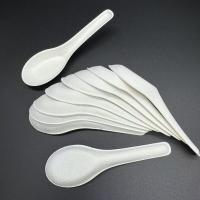 China Molded Fiber Bagasse Pulp Spoon Eco-Friendly Disposable Utensil Canteen for sale