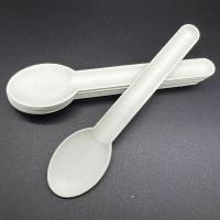 China Paper Pulp Cutlery Biodegradable And Compostable Heat Resistant for sale