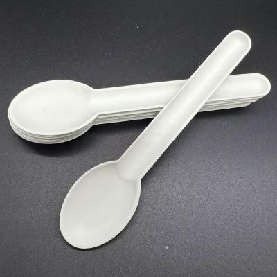 China Paper Pulp Cutlery Biodegradable And Compostable Heat Resistant for sale