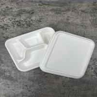 China Eco Friendly Biodegradable Sugarcane Bowl Dish Paper Tableware Manufacture for sale