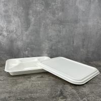 China Eco Friendly Biodegradable Sugarcane Bowl Dish Paper Tableware Manufacture for sale