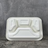 China Eco Friendly Biodegradable Sugarcane Bowl Dish Paper Tableware Manufacture for sale