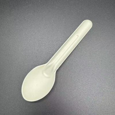 China Disposable Biodegradable Food Grade Paper Pulp Cutlery For Home And Commercial Takeaway Food And Sweet Desserts for sale