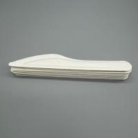 China Eco Friendly Compostable Degradable Disposable Sugarcane Bagasse Paper Pulp Knife for sale