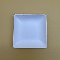 China Wholesales Disposable Degradable Rectangular Sushi Plate Dipping Saucer Fits Sushi Dumpling Snack Chips for sale