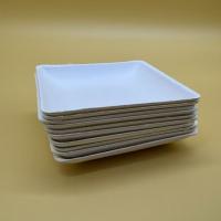 China Wholesales Disposable Degradable Rectangular Sushi Plate Dipping Saucer Fits Sushi Dumpling Snack Chips for sale