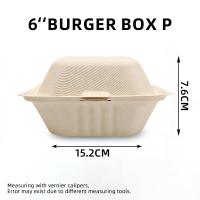 China Sugar Cane Bamboo Pulp Hamburger Box Camping Parties Lunches Food Packaging Plates Made Paper for sale