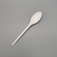 China Heatproof Biodegradable Eco-friendly Customizable Disposable PLA Knife Fork And Spoon for sale