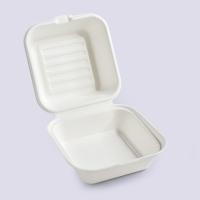 China 350 capacity Takeaway boxes Disposable biodegradable rigid foam food containers for sale