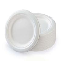 China BPA Free Compostable 9 Inch Heavy-Duty 125-Pack Disposable Round Bagasse Pulp Paper Plate for sale