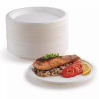China BPA Free Compostable 9 Inch Heavy-Duty 125-Pack Disposable Round Bagasse Pulp Paper Plate for sale