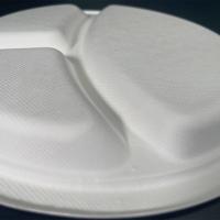 China White 3 Compartment Bagasse Tray Original Color Dinner Sugarcane Bagasse Pulp 10 Inch Round Plates for sale