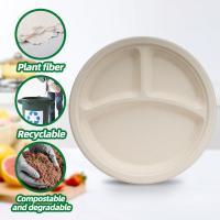 China White 3 Compartment Bagasse Tray Original Color Dinner Sugarcane Bagasse Pulp 10 Inch Round Plates for sale
