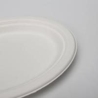 China PFAS Free Disposable Eco-friendly Sugarcane Bagasse Large Oval Pulp Plates for sale