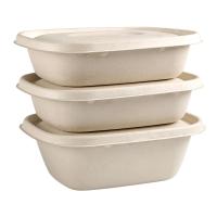 China Disposable Party Dinnerware Take Away Salad Box 850ml 1100ml 1300ml Sugarcane Bagasse Pulp Box Packaging for sale