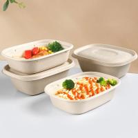 China Disposable Party Dinnerware Take Away Salad Box 850ml 1100ml 1300ml Sugarcane Bagasse Pulp Box Packaging for sale