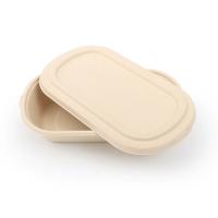 China Biodegradable Take Out Food Container Compost 850ml Bamboo Pulp Food Lunch Box With Lid for sale