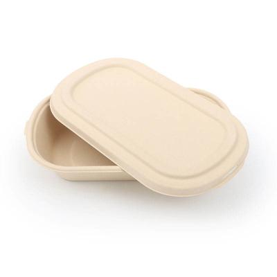 China Biodegradable Take Out Food Container Compost 850ml Bamboo Pulp Food Lunch Box With Lid for sale
