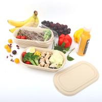 China Biodegradable Take Out Food Container Compost 850ml Bamboo Pulp Food Lunch Box With Lid for sale