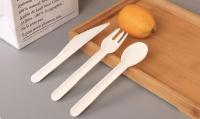 China GZ Bio 4 Inches Disposable Paper Cutlery Set Spoon With Kraft Paper Outer Packing Pattern Design for sale