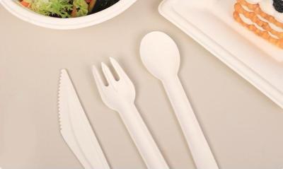 China GZ Bio 4 Inches Disposable Paper Cutlery Set Spoon With Kraft Paper Outer Packing Pattern Design for sale