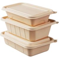 China GZ Bio Disposable Cornstarch Lunch Box Restaurant Takeout Plastic Food Container for sale