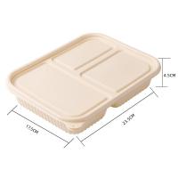 China Corn Tableware Eco-Friendly And Biodegradable Corn Starch Lunch Box For Takeaway for sale