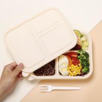 China Corn Tableware Eco-Friendly And Biodegradable Corn Starch Lunch Box For Takeaway for sale