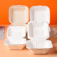 China Eco Friendly 6 Inch Biodegradable Tableware Set Clamshell Takeaway Paper Bagasse To Go Sugarcane Pulp Lunch Box for sale