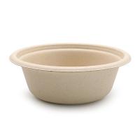 China Disposable Biodegradable Sugarcane Eco Friendly Take Away Food Container Bagasse Food Bowls for sale