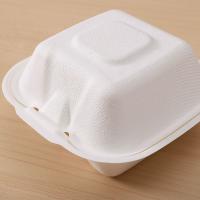China Biodegradable Compostable Sugarcane Bagasse Pulp Sugar Cane Disposable Tableware Lunch Meal Box Takeaway Food Container for sale