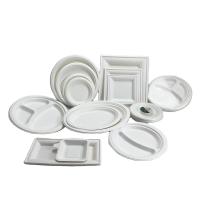 China Disposable Dinnerware Set Pulp Sugarcane Sugar Cane Paper Tableware Square Round Oval Bagasse Plate for sale