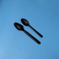 China CPLA Wholesale Custom Biodegradable PLA Disposable Spoon Flatware Cutlery PLA Soup Spoon for sale