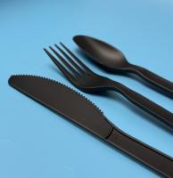 China Custom Size CPLA Biodegradable Disposable Cutlery Set Individually Packaged Fork Spoon Knife Compostable for sale