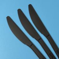 China CPLA ECO Friendly 7 Inches  Knives Cutlery Set Disposable Biodegradable Knives for sale