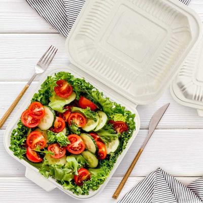 China Disposable Biodegradable Box Food Container for sale