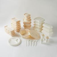 China Disposable Biodegradable Box Food Container for sale