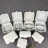 China Disposable Biodegradable Box Food Container for sale