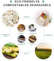 China PFAS FREE 6 7 9 10inch Disposable Party Tableware 100% Compostable Disposable Sugarcane Tableware Bagasse Round Plates for sale