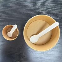 China EcoSmooth Disposable BioStrong Flexi-Lite Leakproof GreenBite Sturdy Paper Spoon Customizable Color And Design for sale