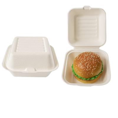 China Compostable Disposable Eco-friendly 6