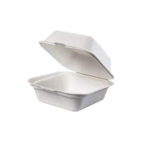 China Compostable Disposable Eco-friendly 6