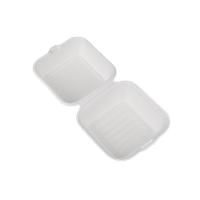 China Compostable Disposable Eco-friendly 6