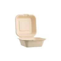 China Compostable Disposable Eco-friendly 6