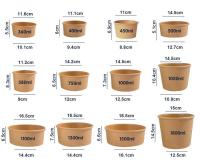 China Free Sample Recyclable Custom Salad Food Grade Paper Plate Kraft Round Paper Bowl for sale